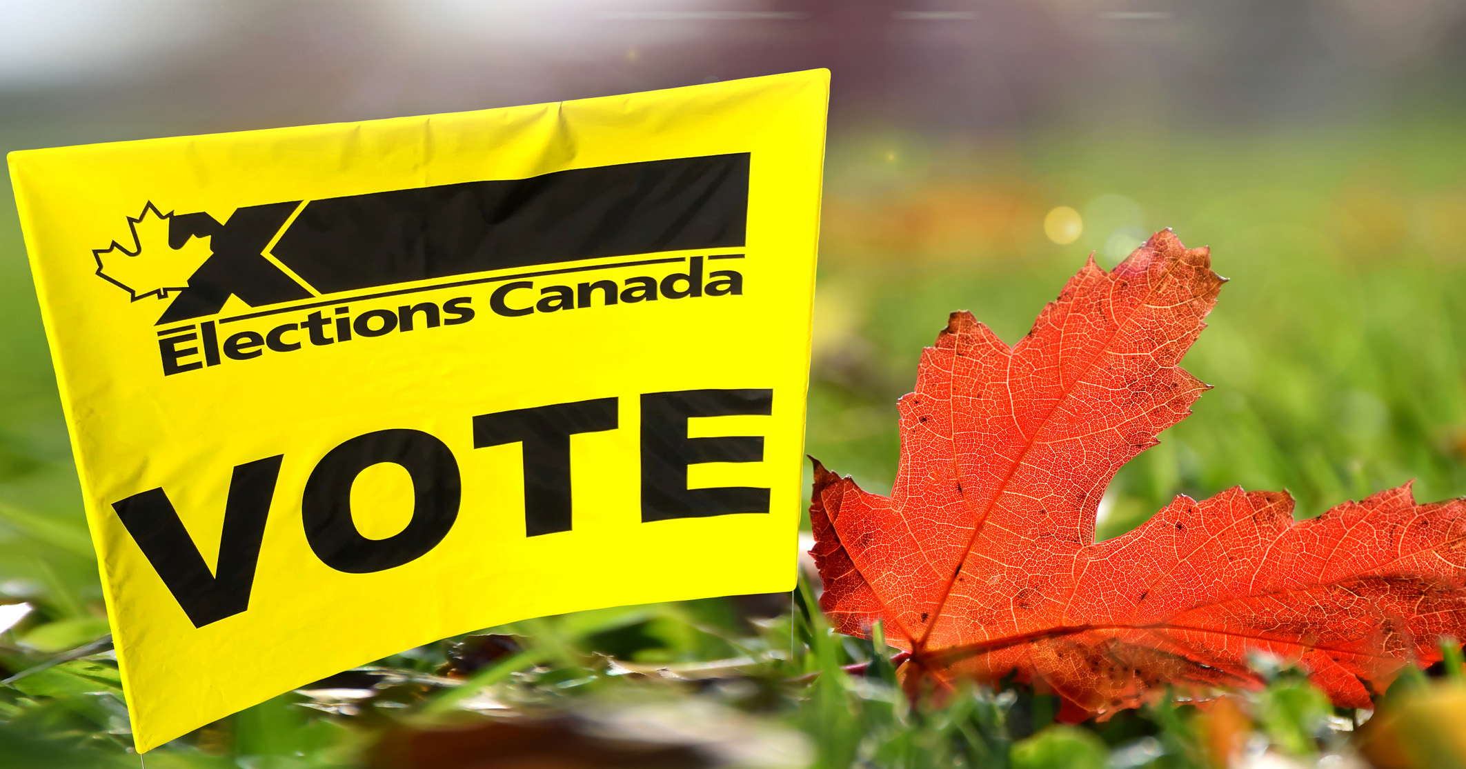 Élections fédérales 2025 : un outil comparatif pour y voir plus clair ...